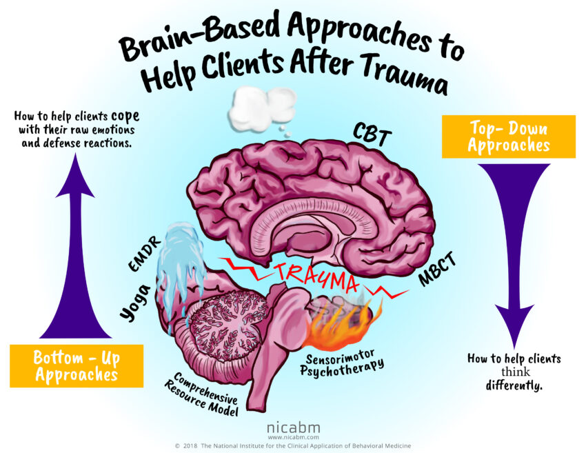 Unlocking the Secrets of Child Brain Development