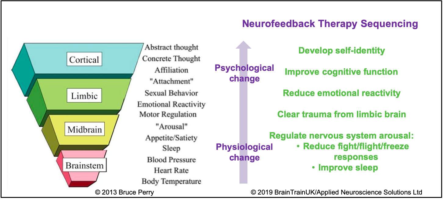 Unlocking the Secrets of Child Brain Development